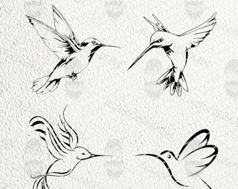 Beautiful Vector Hummingbird Artwork Bundle, 20 Hummingbirds Bundle ...