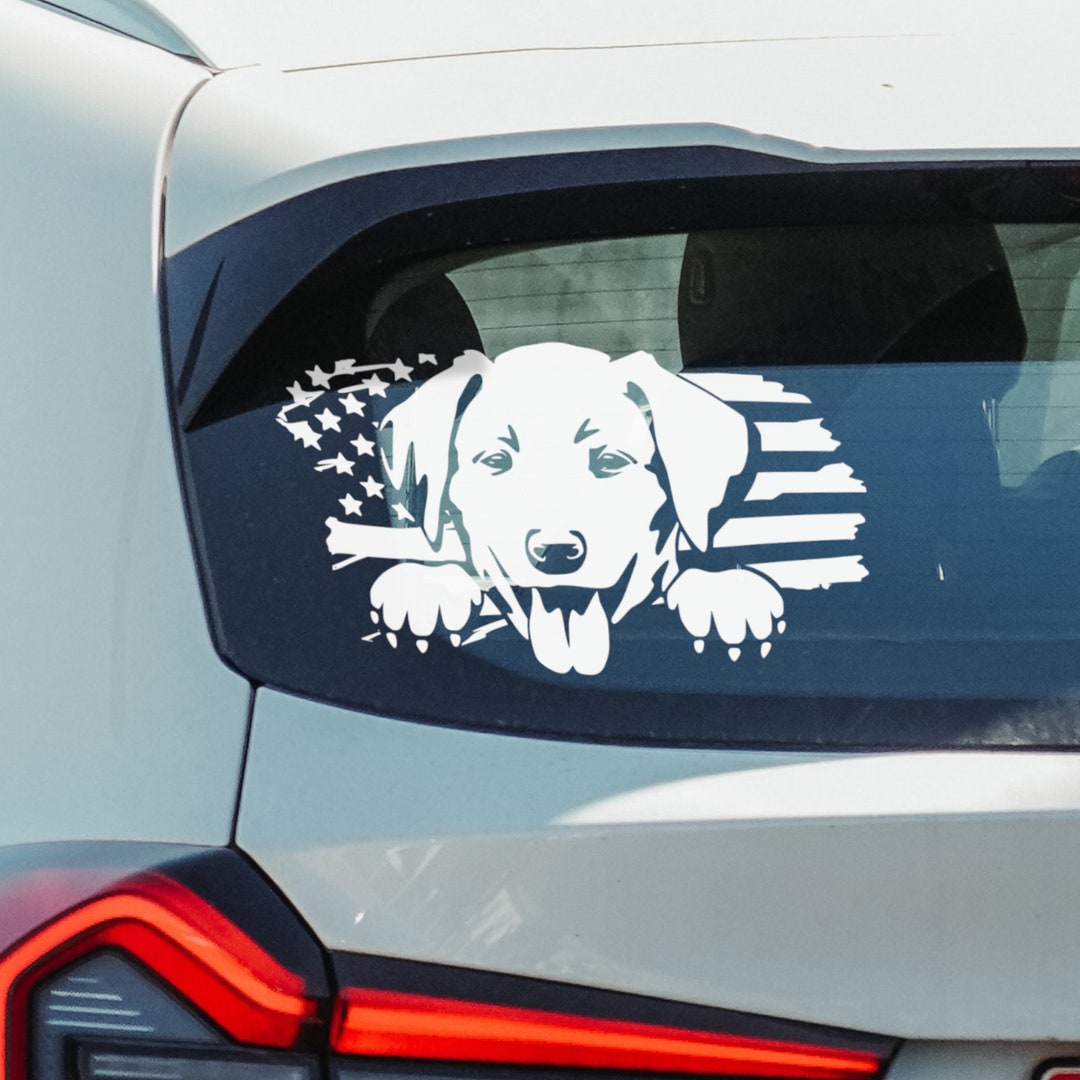 Labrador SVG PNG, Labrador Puppy American Flag - Etsy