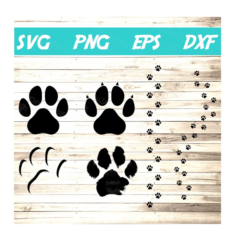 Tiger Paw Svg - Etsy