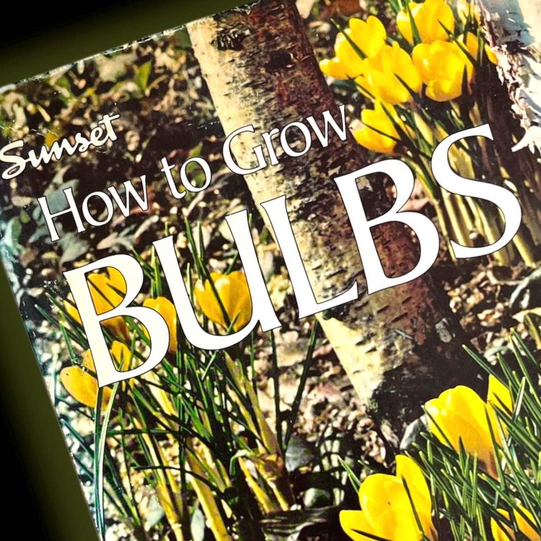 Vintage Sunset How-to Grow Bulbs Book: MCM Gardening & Landscape Design ...