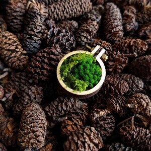 Mini Moss Wall Art in Miniature Embroidery Hoop Long Lasting Eco Gift ...