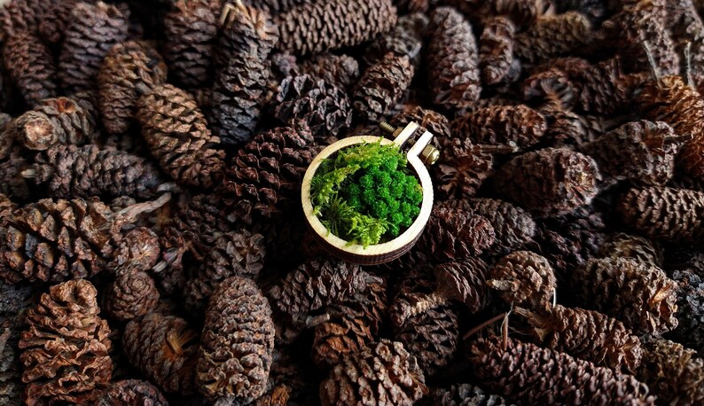 Mini Moss Wall Art in Miniature Embroidery Hoop Long Lasting - Etsy