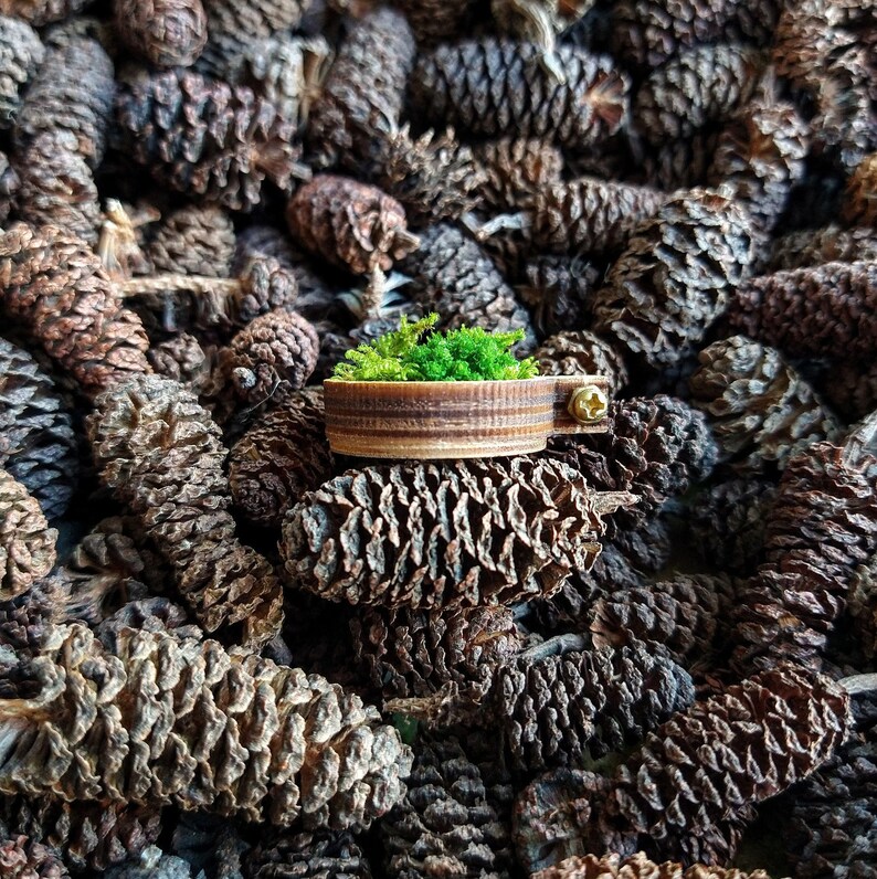 Mini Moss Wall Art in Miniature Embroidery Hoop Long Lasting | Etsy