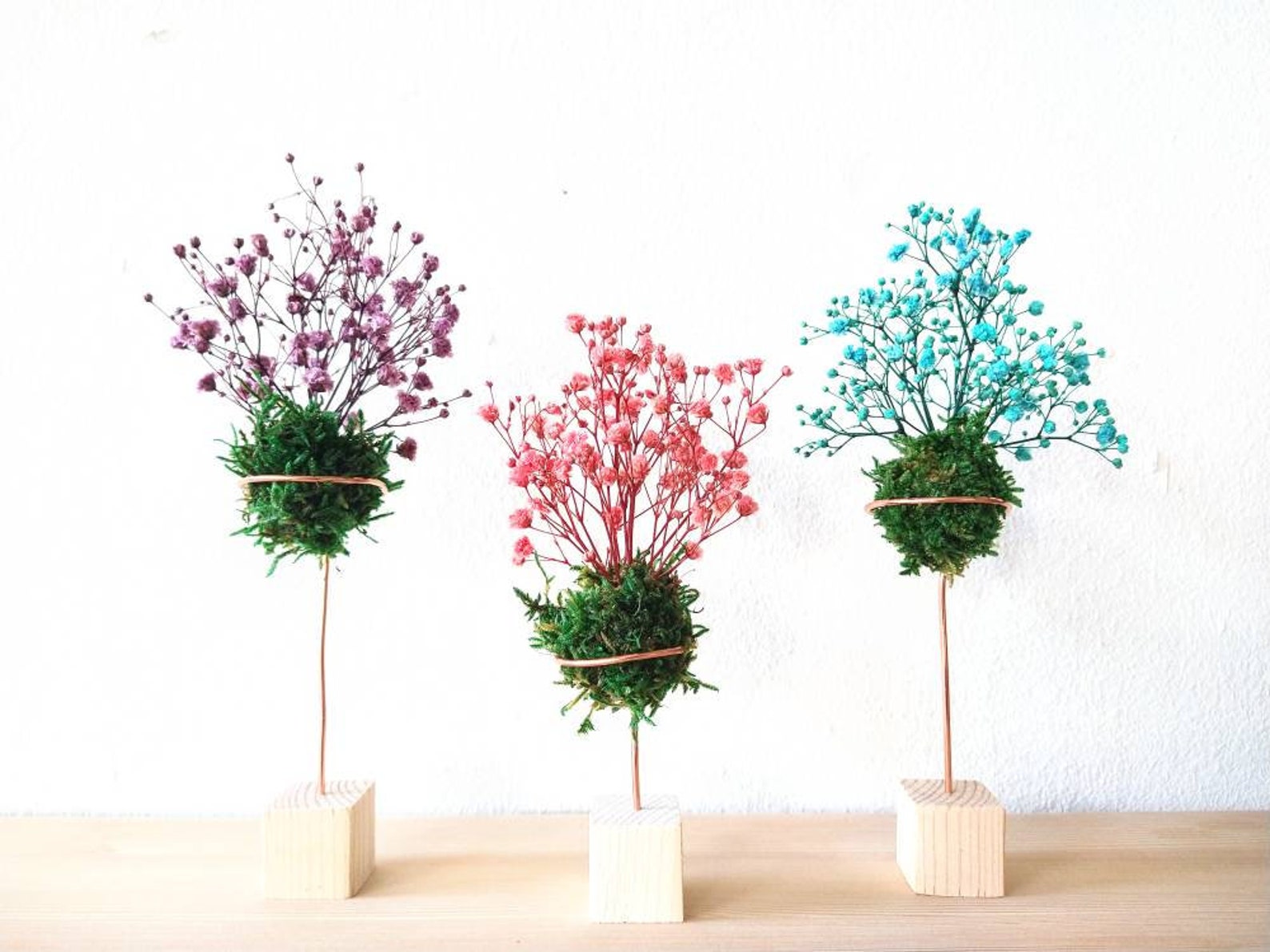 Mini Kokedama Letterbox Gift With Greeting Card | No Water or Sunlight ...