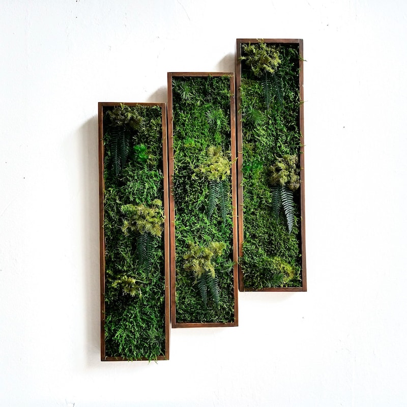 Moss Frame - Etsy