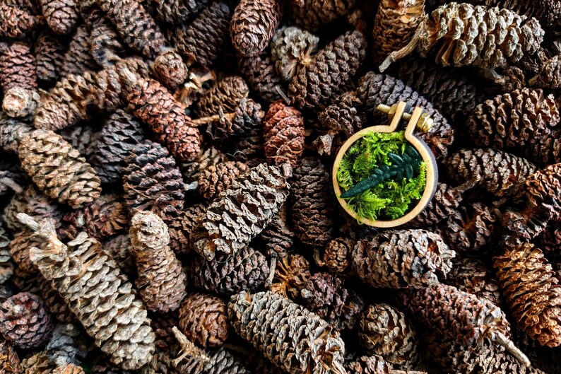 Mini Moss Wall Art in Miniature Embroidery Hoop Long Lasting - Etsy