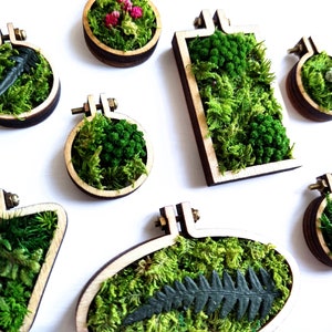 Mini Moss Wall Art in Miniature Embroidery Hoop Long Lasting Eco Gift ...