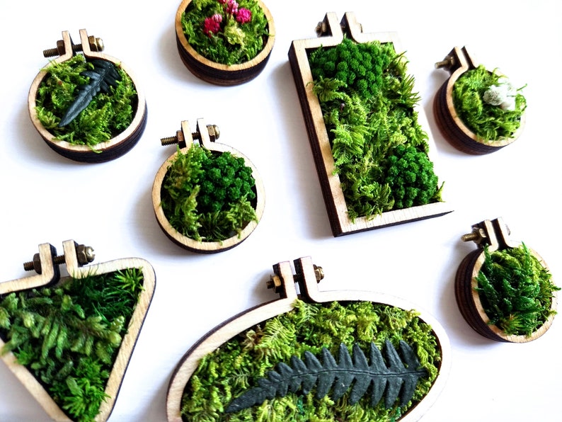Mini Moss Wall Art in Miniature Embroidery Hoop Long Lasting - Etsy
