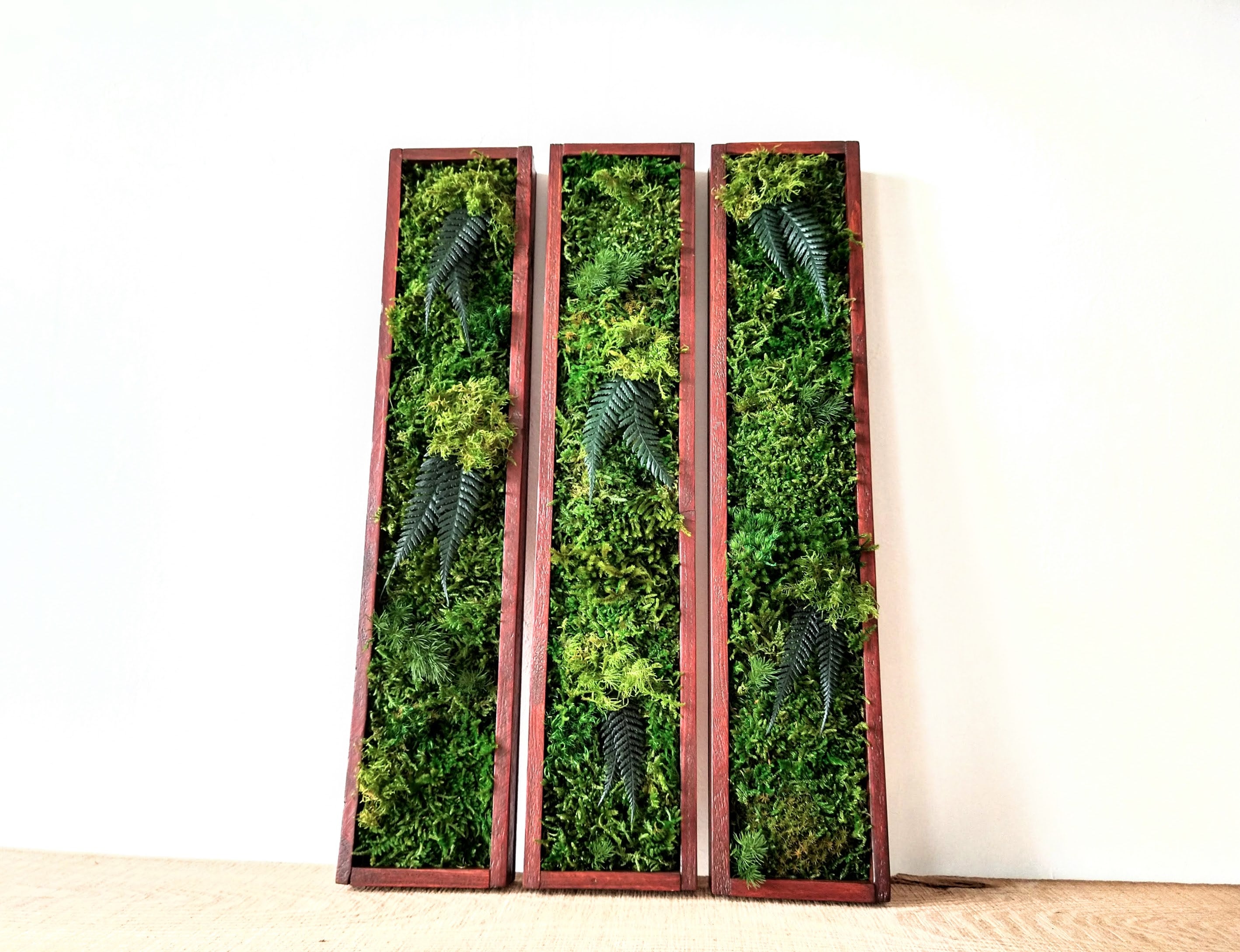 Moss Painting in Long Frame Moss Wall or Plant Wall - Etsy