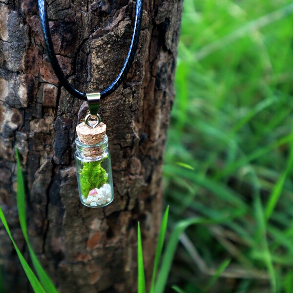 Terrarium Necklace - Etsy