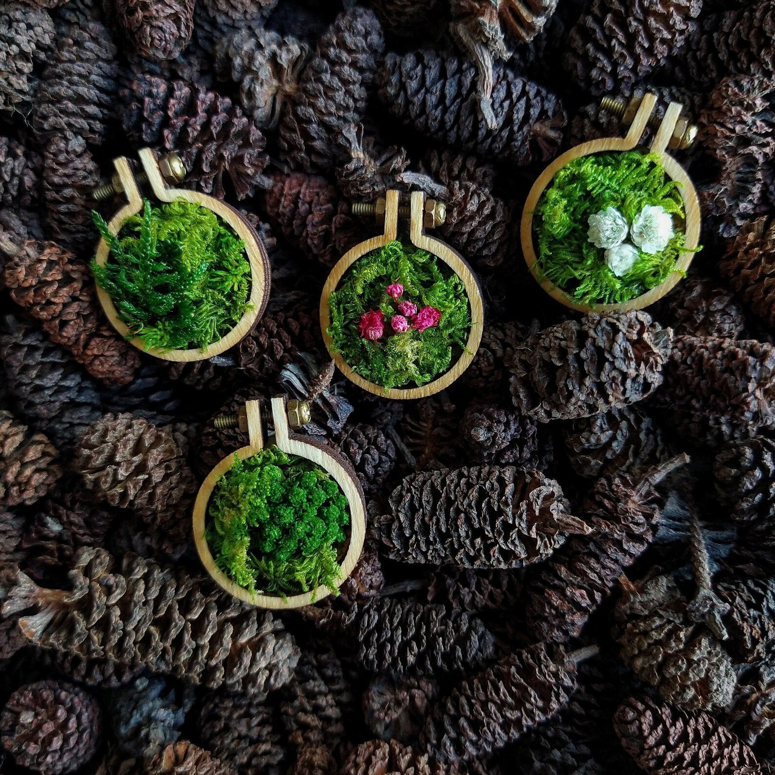 Mini Moss Wall Art in Miniature Embroidery Hoop Long Lasting - Etsy