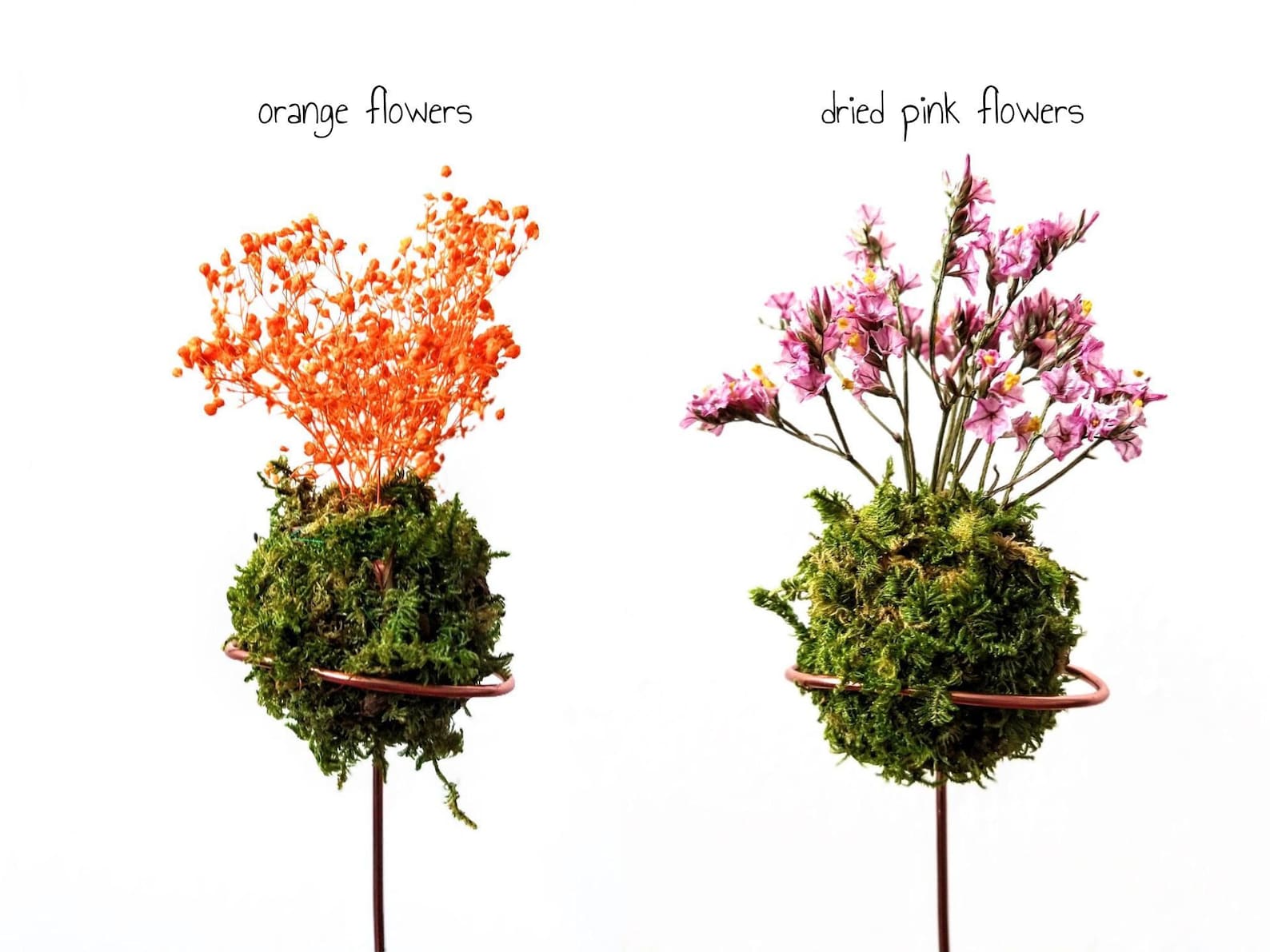 Mini Kokedama Letterbox Gift With Greeting Card | No Water or Sunlight ...