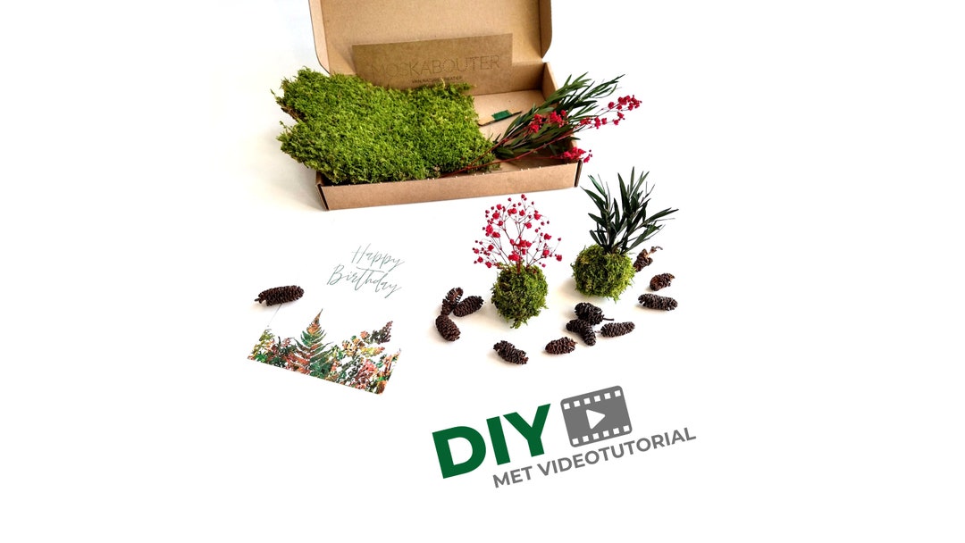 Mini Kokedama Craft Kit | No Water or Sunlight Needed | Includes Online ...