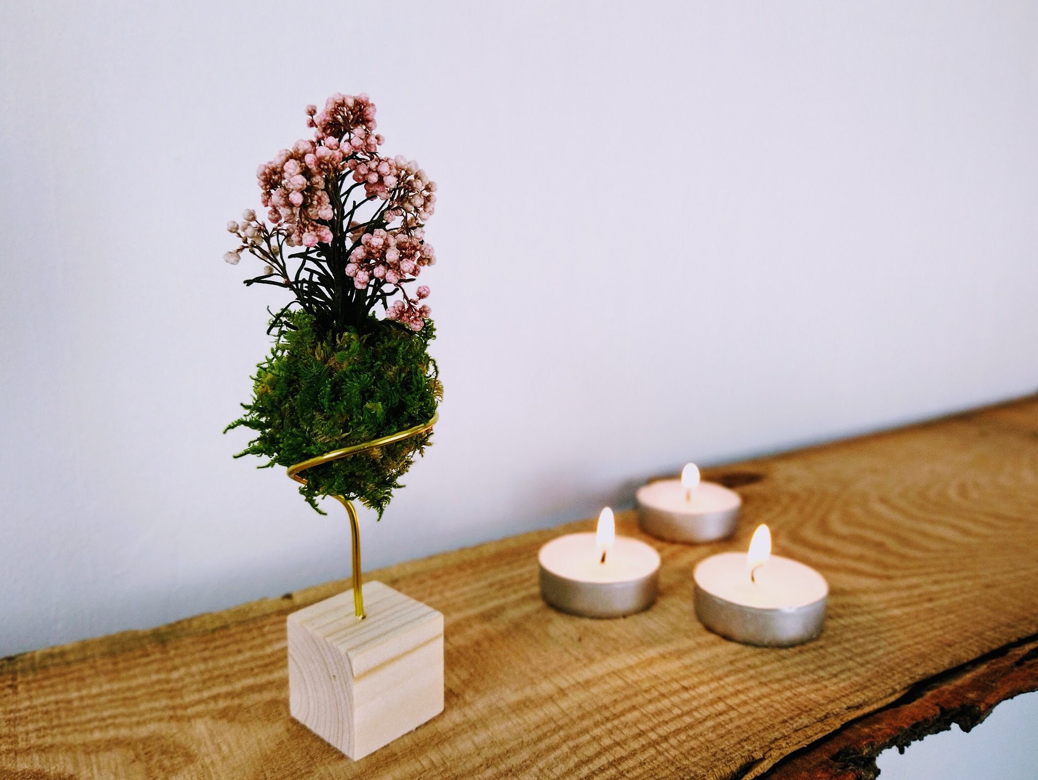 Mini Kokedama Letterbox Gift With Greeting Card | No Water or Sunlight ...