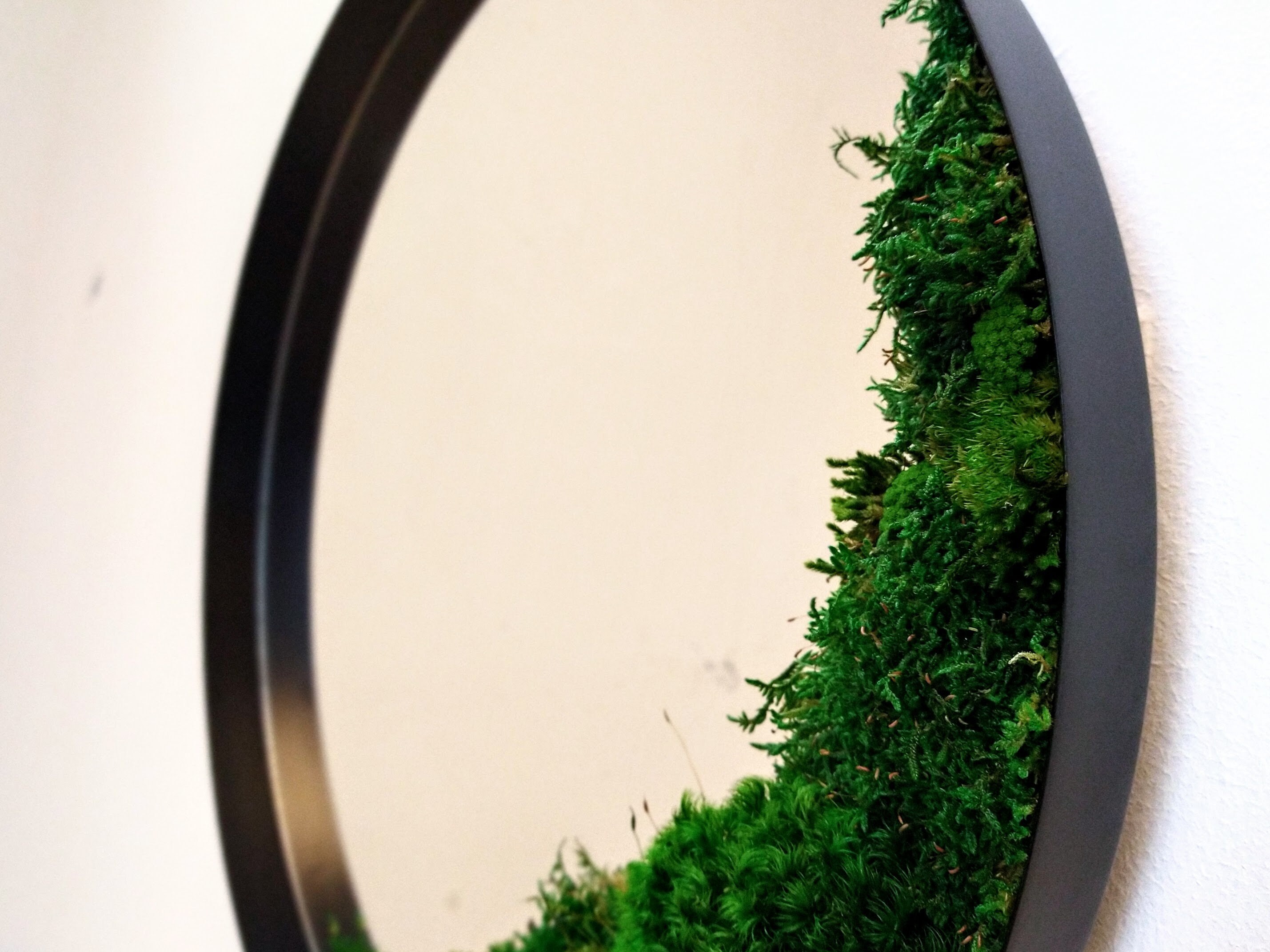 Moss Mirror Wall Art Round Moss Wall Art Moss Mirror With - Etsy