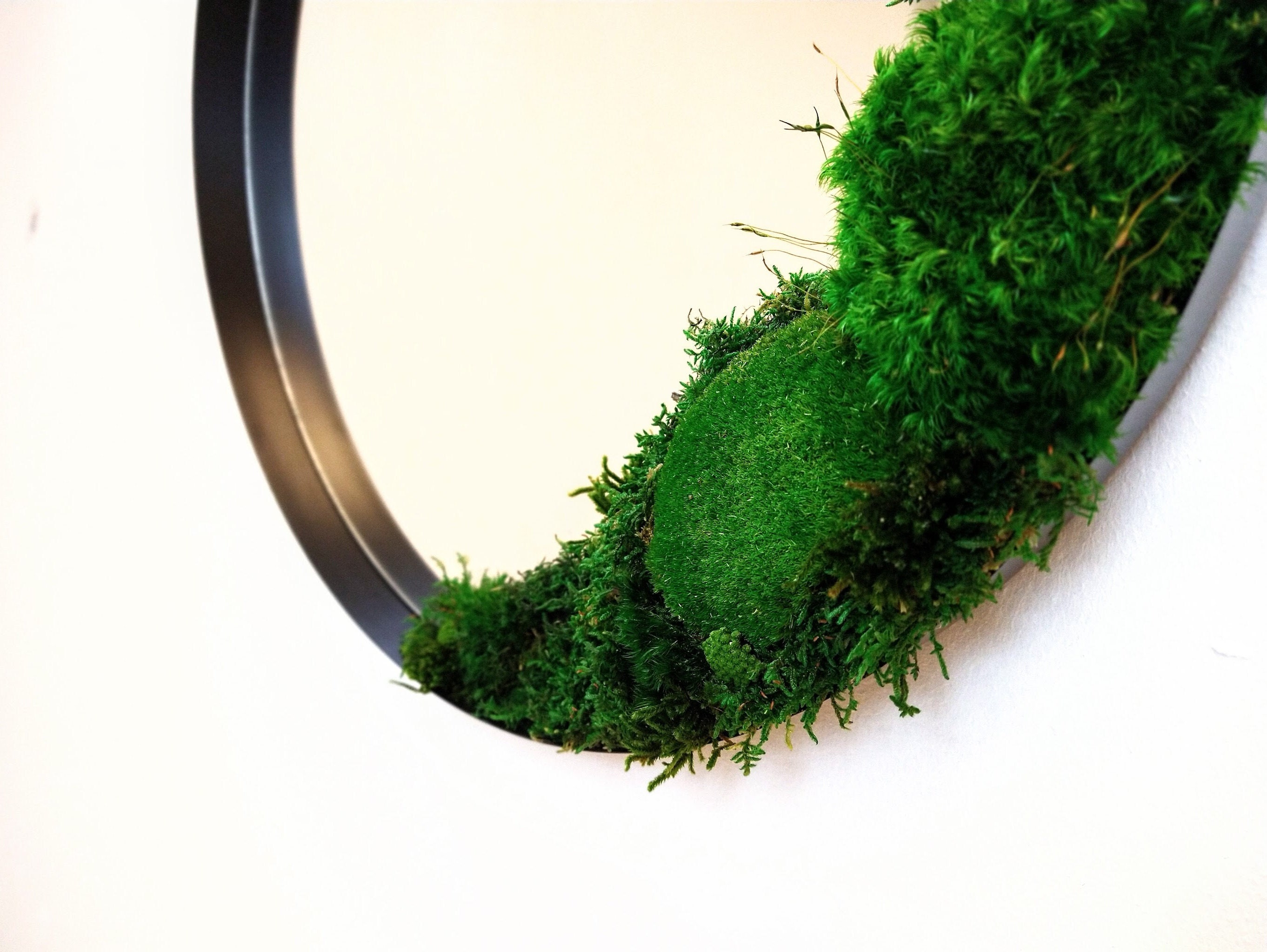 Moss Mirror Wall Art Round Moss Wall Art Moss Mirror With - Etsy