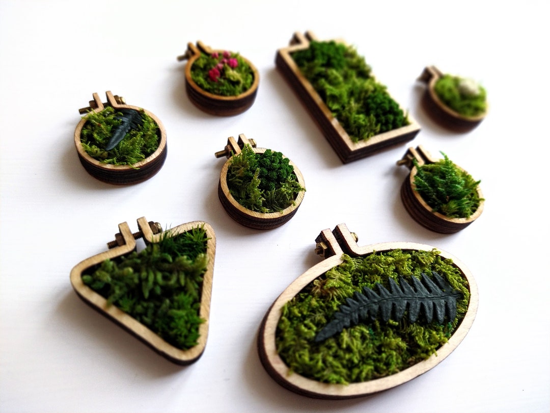 Mini Moss Wall Art in Miniature Embroidery Hoop Long Lasting Eco Gift ...