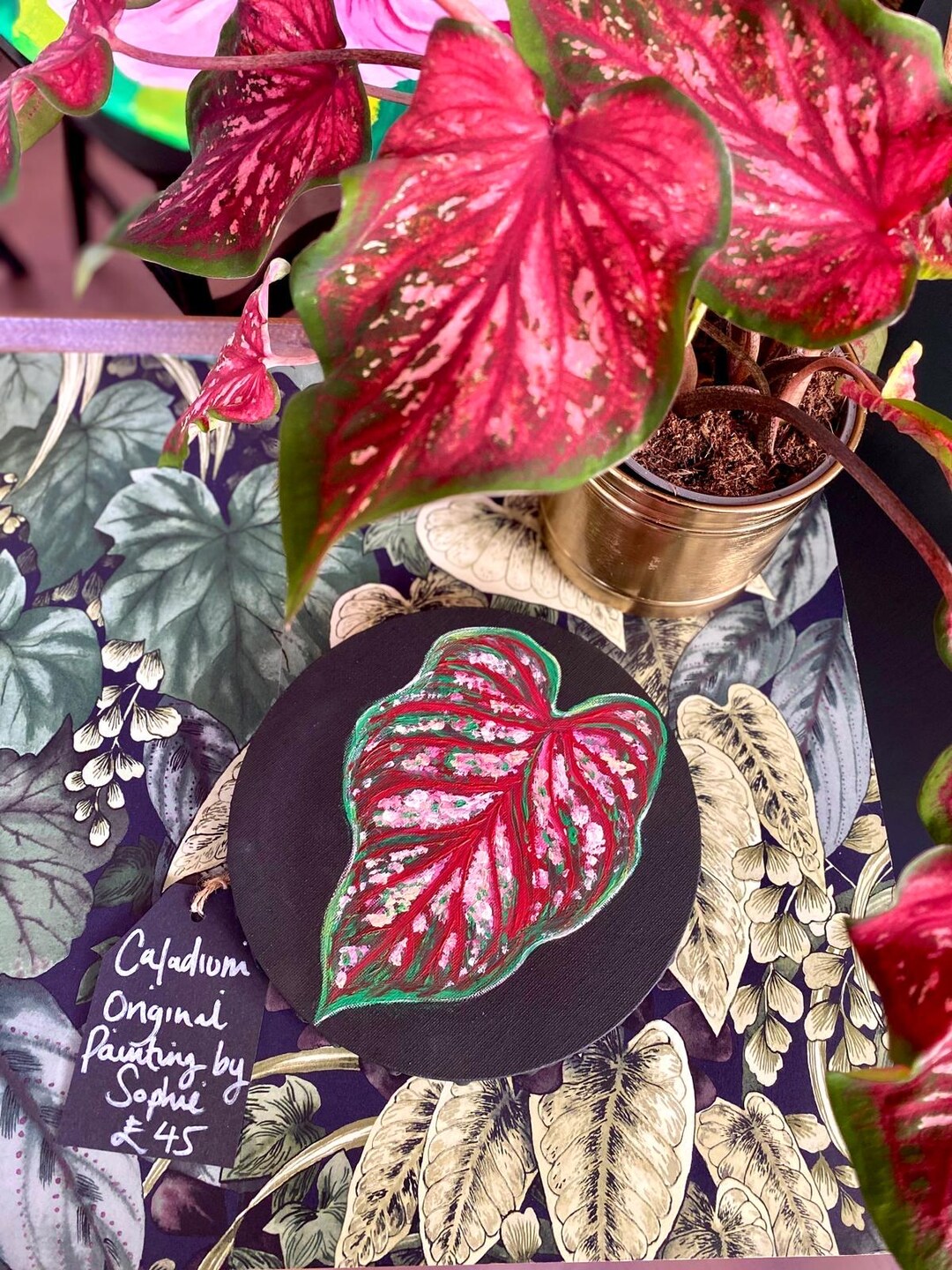 Original Painting of Caladium Leaf on Round Canvas - Etsy