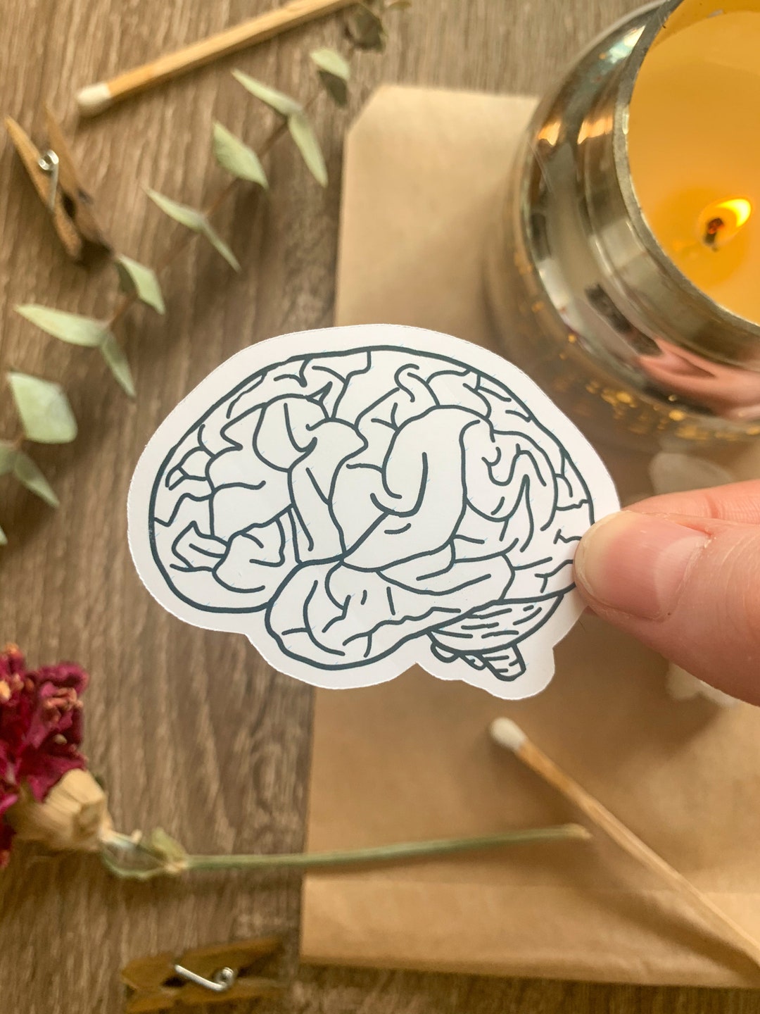 Minimalistic Anatomical Brain Sticker | Anatomy Sticker | Die Cut ...