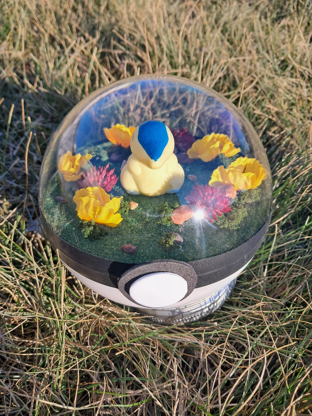 Cyndaquil Medium Pokemon Pokeball Terrarium Paradise Ball Shelf Desk ...