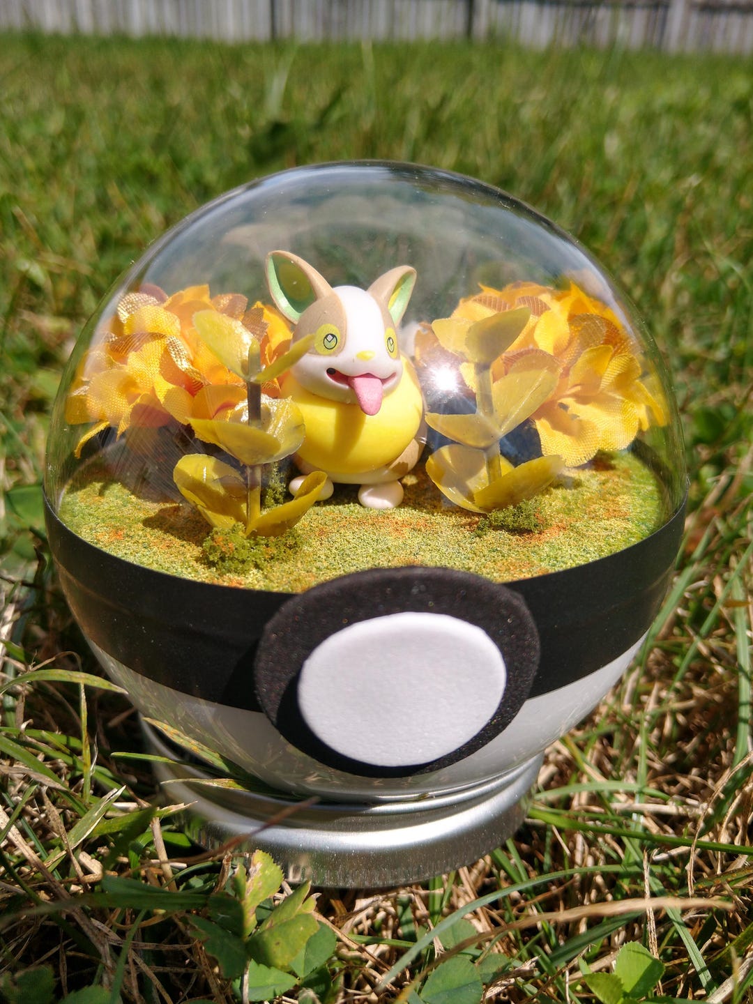 Yamper Small Pokemon Pokeball Terrarium Paradise Ball Shelf Desk ...