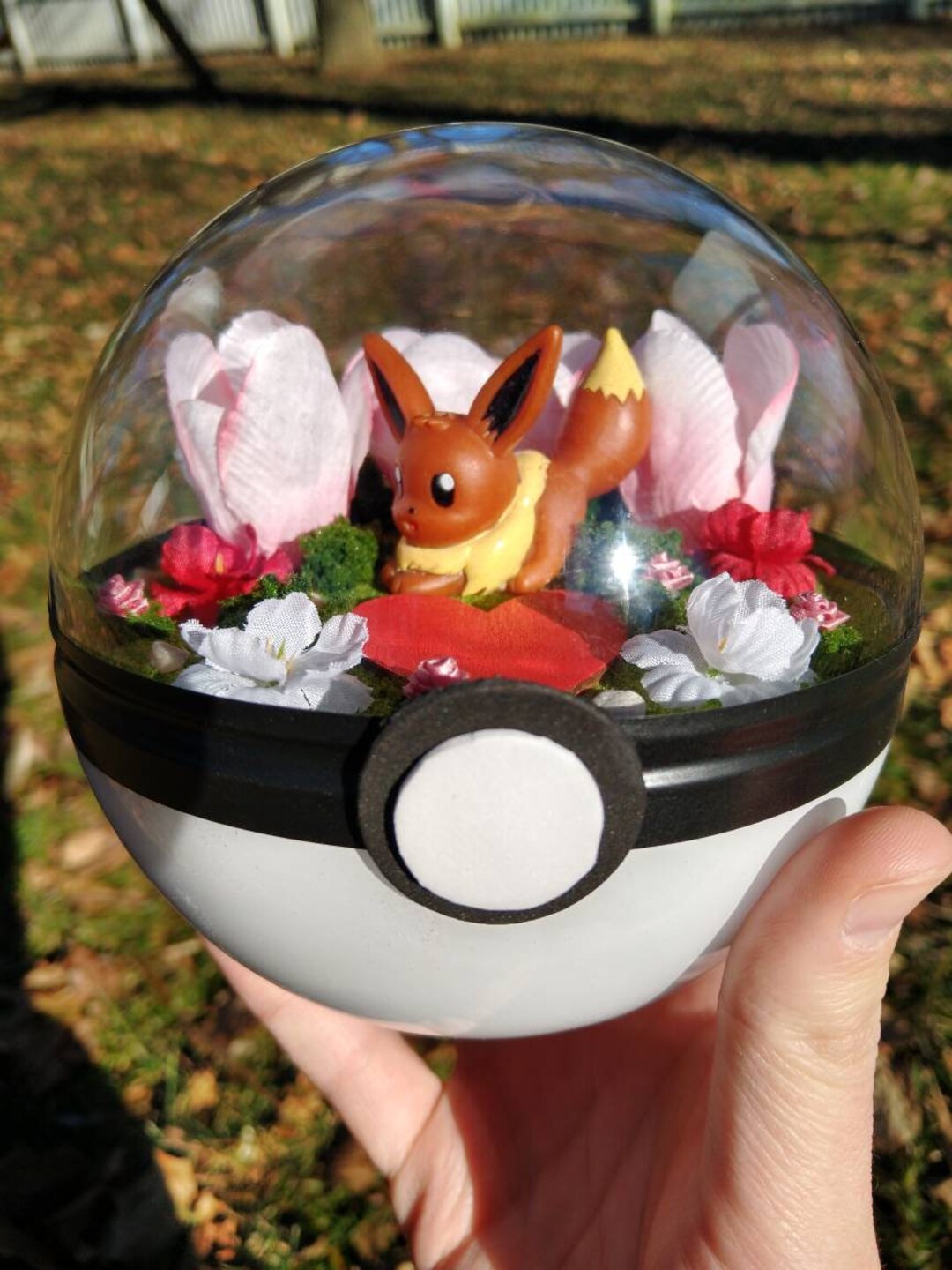 Eevee Large Pokemon Pokeball Terrarium Paradise Ball Shelf Desk ...
