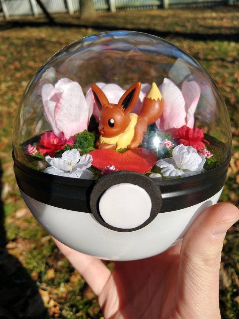Eevee Large Pokemon Pokeball Terrarium Paradise Ball Shelf - Etsy