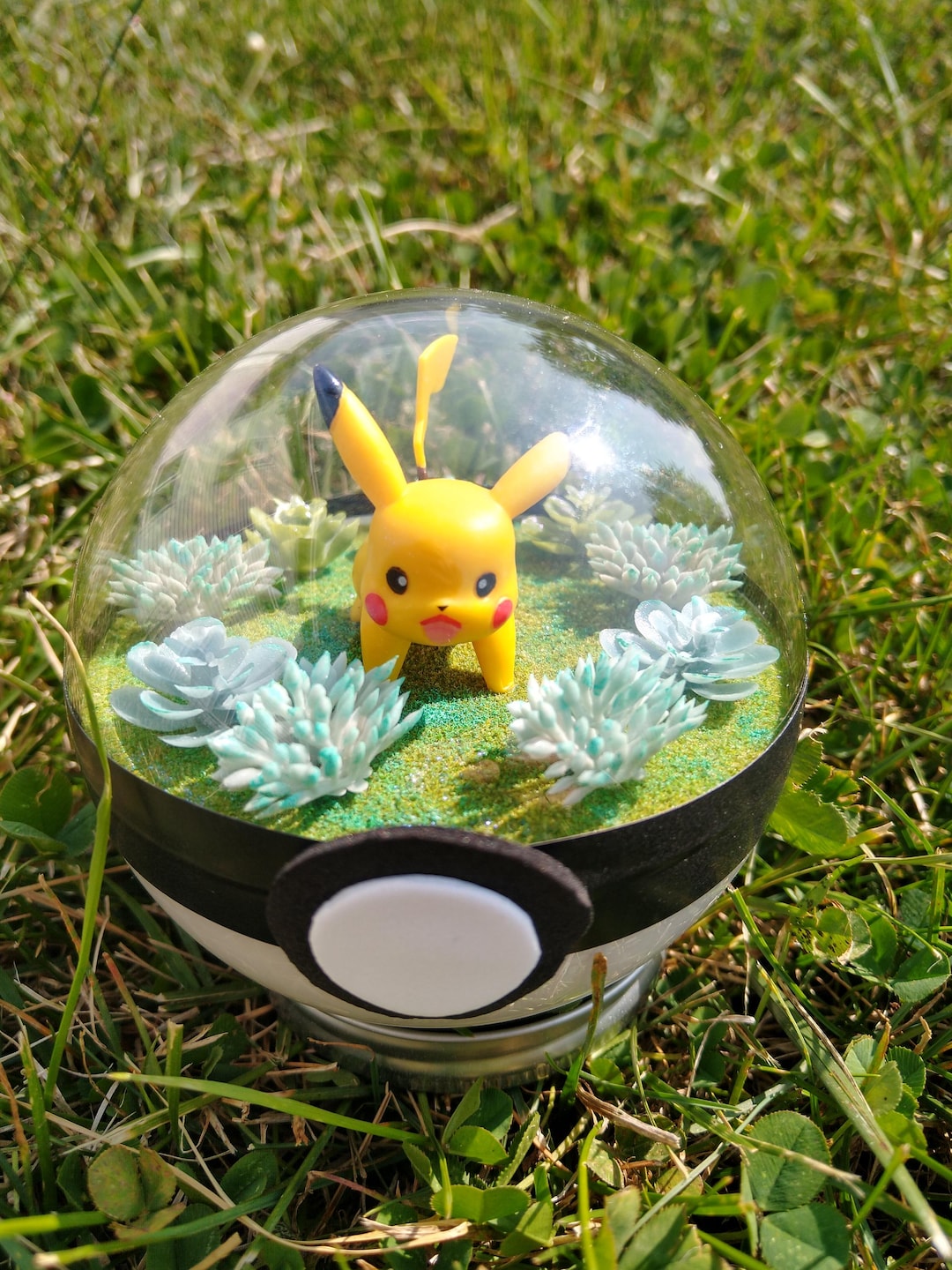 Pikachu Small Pokemon Pokeball Terrarium Paradise Ball Shelf Desk ...
