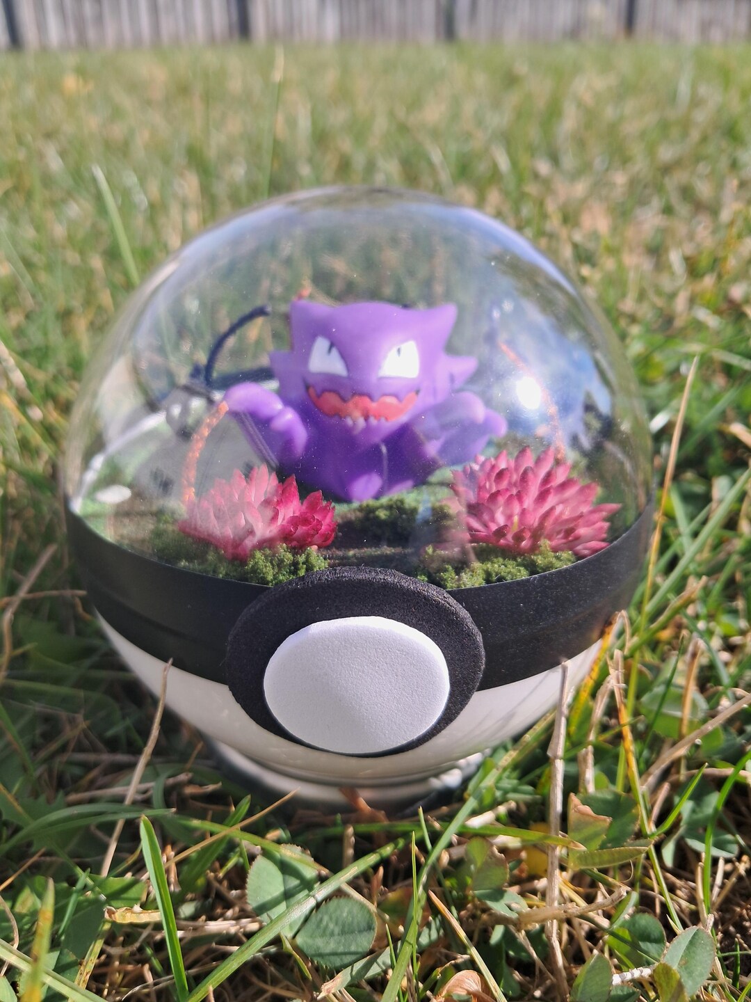 Haunter Small Pokemon Pokeball Terrarium Paradise Ball Shelf Desk ...