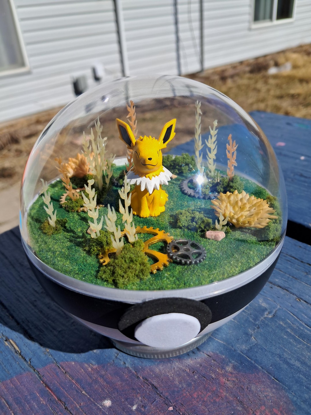 Jolteon Medium Pokemon Pokeball Terrarium Paradise Ball Eevee Shelf ...