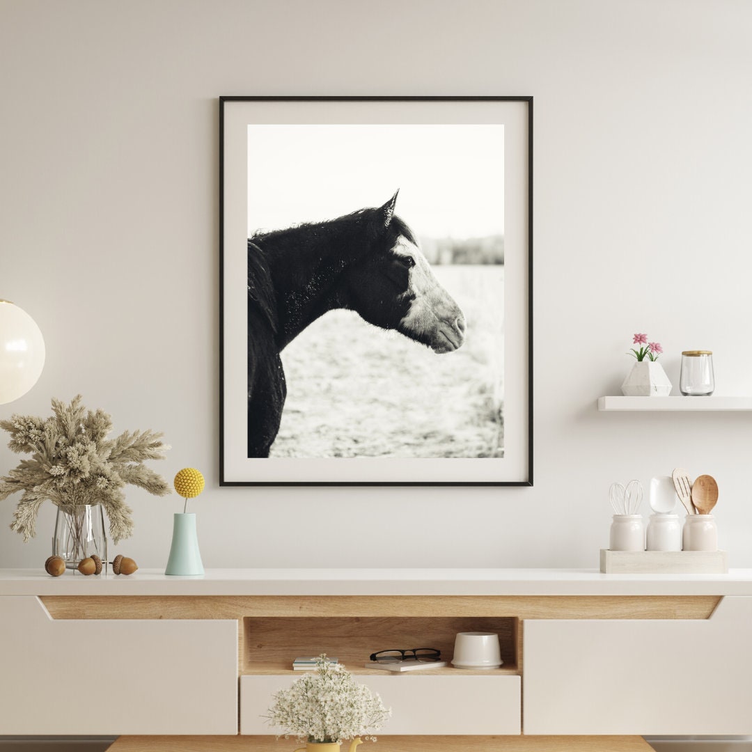 Horse Black and White Digital Download Photo | Paint Horse Picture ...