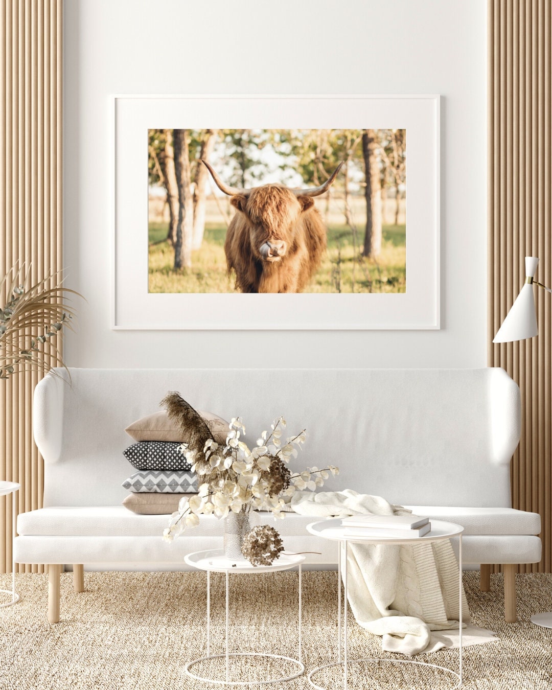 Highland Cow Photo Digital Art | Funny Cow Picture | Shaggy Cattle ...