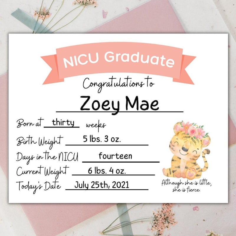 Nicu Graduate - Etsy