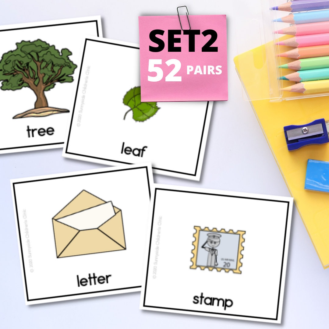 Matching Activity Identical & Non-identical for Special Education ...