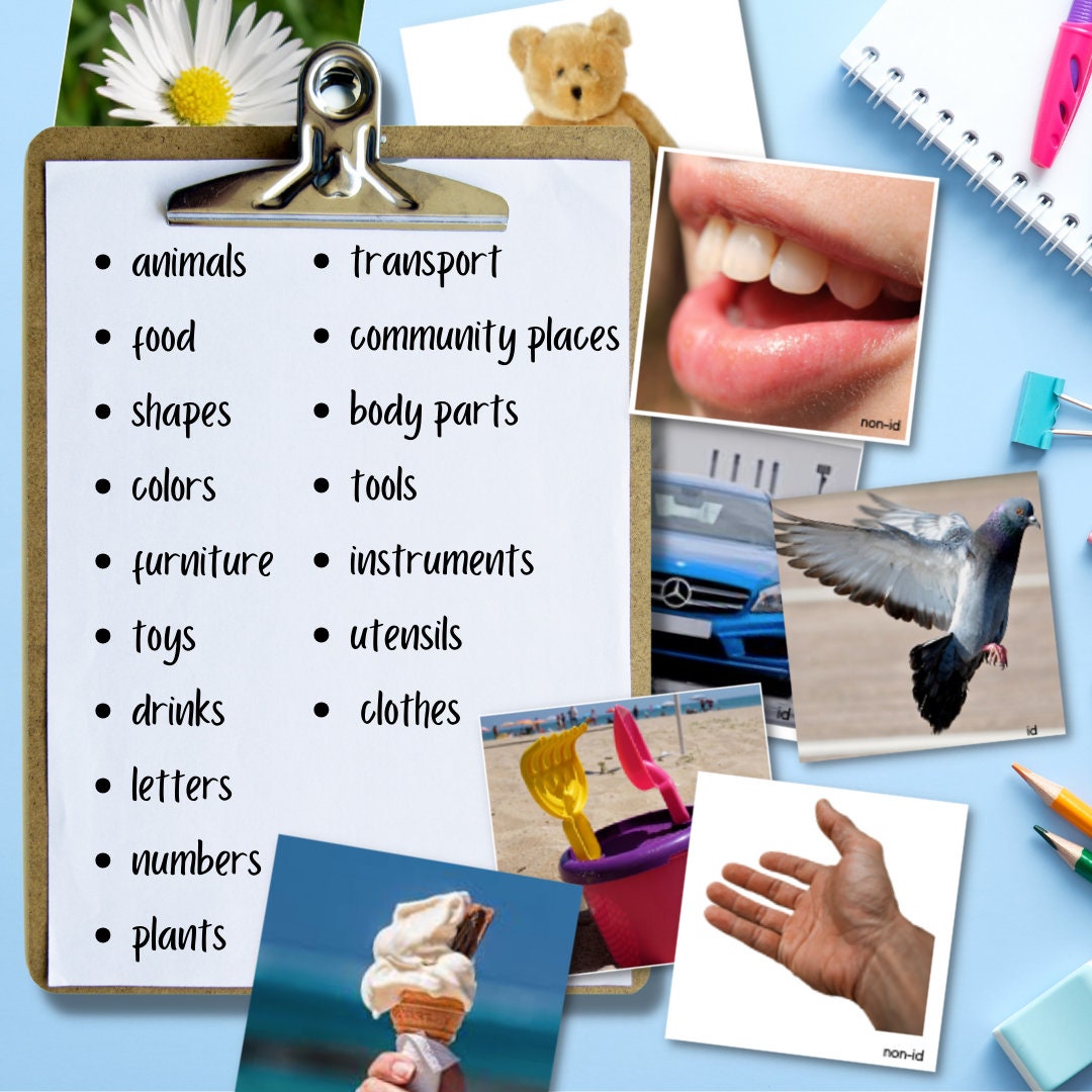 Identical & Non Identical Matching – Real Photo Cards for ABA, Autism ...