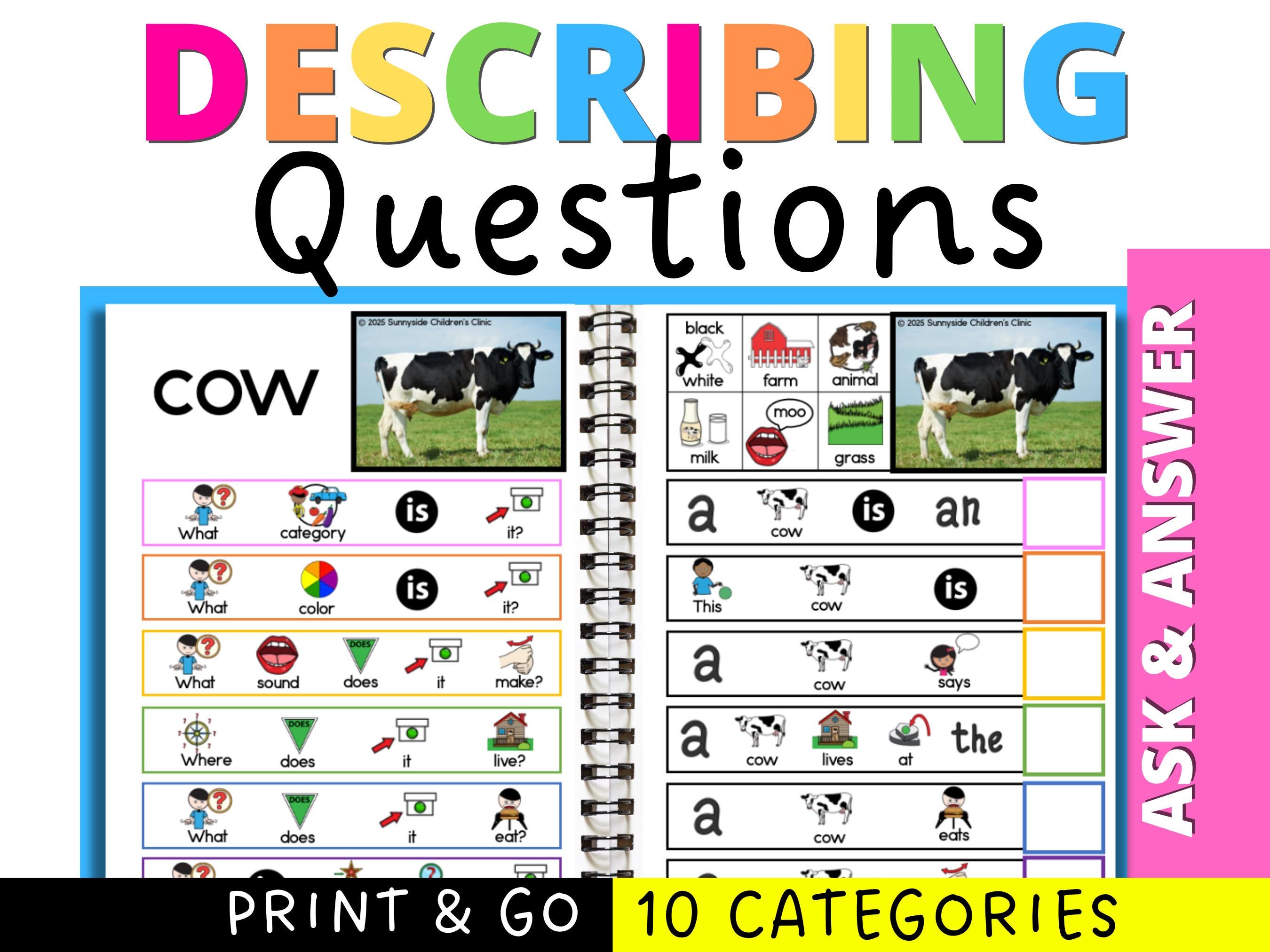 WH Questions Describing & Categorizing | Speech Therapy Activities ...