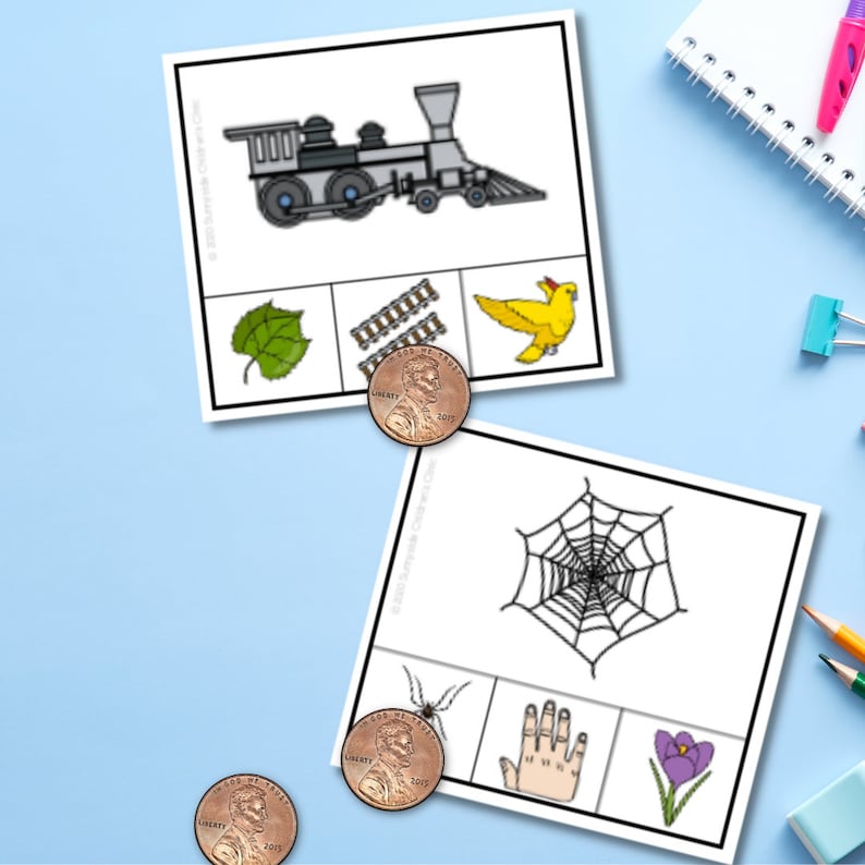 Matching Activity Identical & Non-identical for Special Education ...