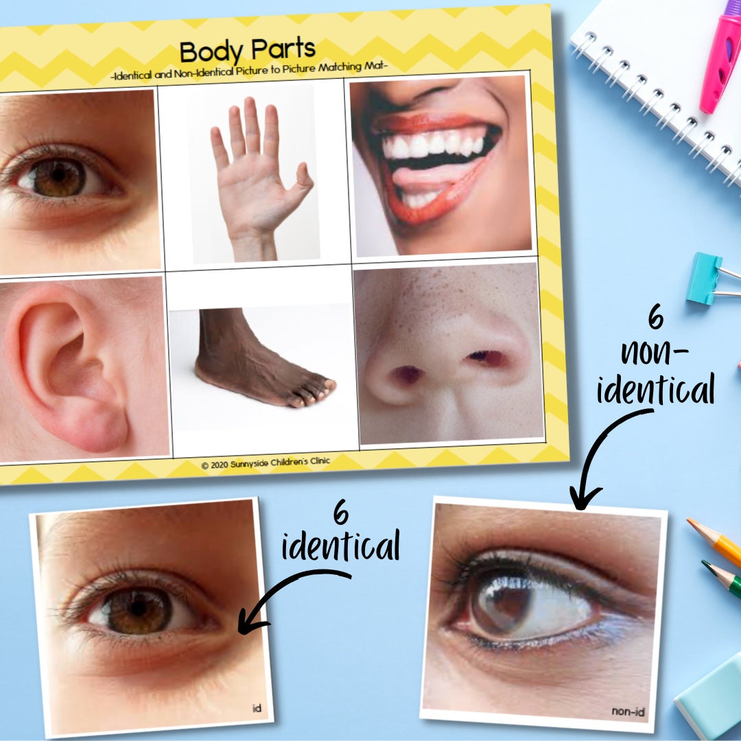 Identical & Non Identical Matching – Real Photo Cards for ABA, Autism ...
