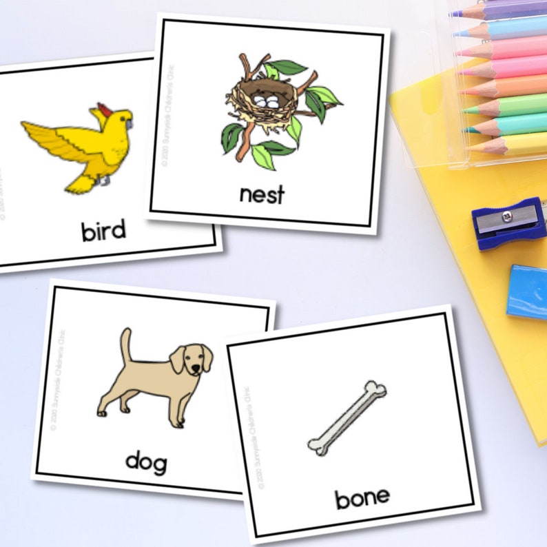 Matching Activity Identical & Non-identical for Special Education ...