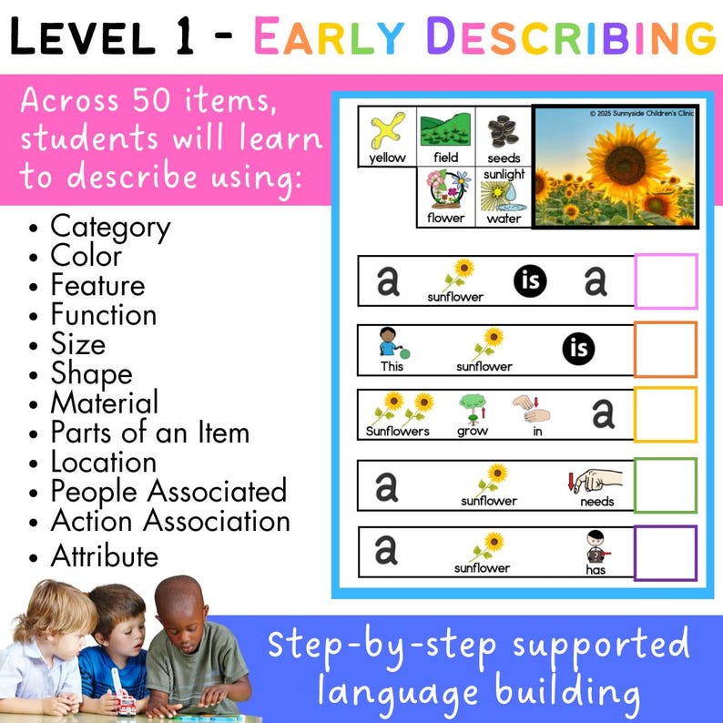WH Questions Describing & Categorizing | Speech Therapy Activities ...