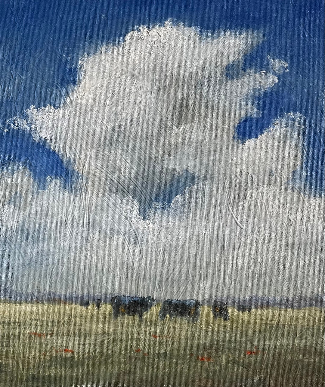 Cows in A Field Tenterden | Original Oil on Canvas Board Painting by ...