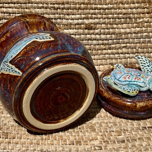 Ceramic Sea Turtle Jar One of a Kind Handmade and Sgraffito - Etsy