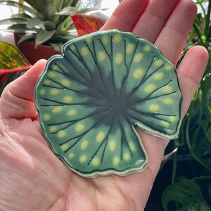 Handmade Glazed Lily Pad Mosaic Tile: Three Original Designs for ...