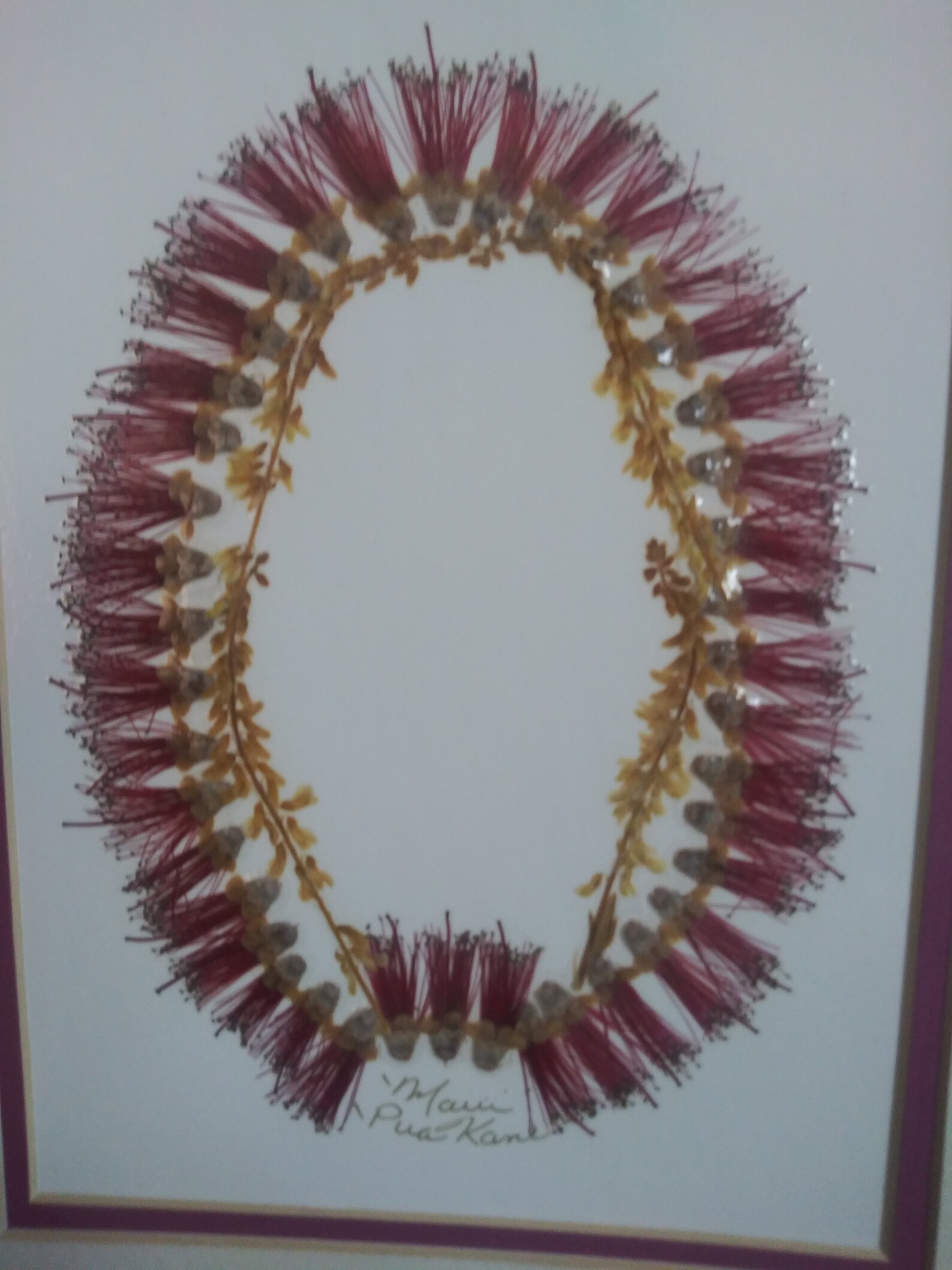 Vintage Hawaiian dried lei picture unframed | Etsy