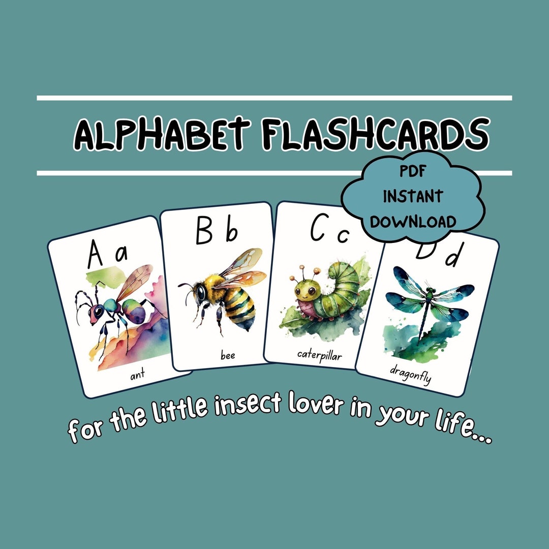 Alphabet Flashcards - Insects - Etsy