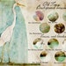 Old Times - Procreate Brushes, Vintage Brushset, Old Vintage Paper ...