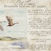 Old Times - Procreate Brushes, Vintage Brushset, Old Vintage Paper ...