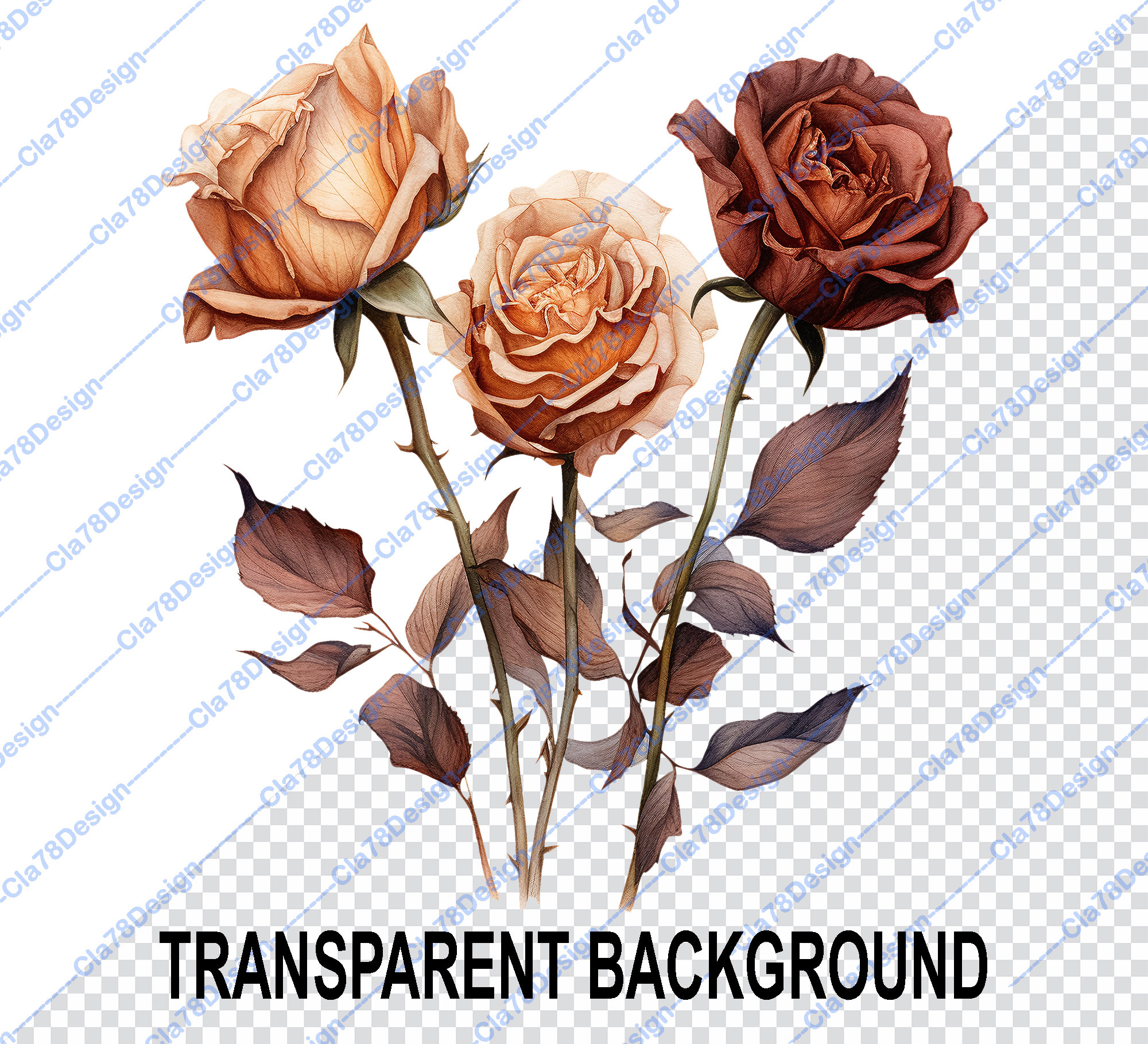 15 Dried Roses Clipart 6" X 6" - Transparent Background Digital ...