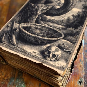 Vintage Mystic Occult Pages, Digital Junk Journal Paper, Printable ...