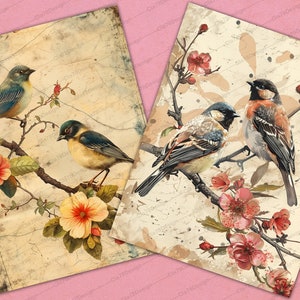 Bird Garden Junk Journal Pages, Bird Ephemera, Scrapbook Printable ...